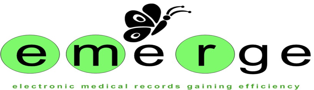 What are Electronic Medical Records and why they matter – Kona ...